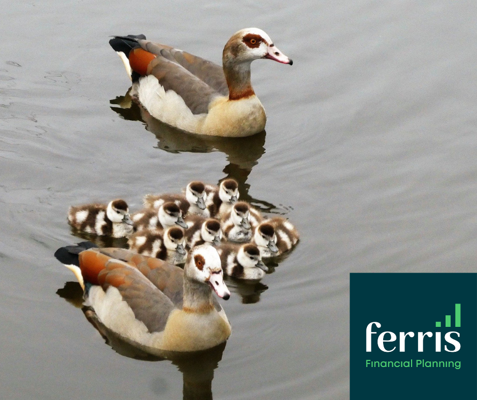 A young families guide to personal life cover. - Ferris Financial Planning